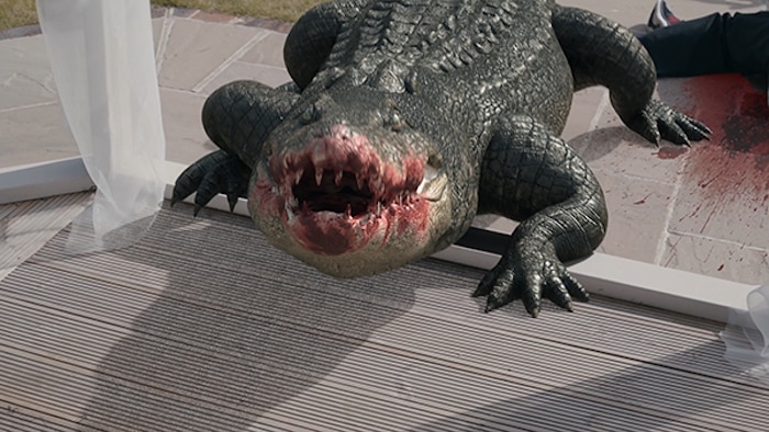 Croc! (2022) Movie Review from Eye for Film