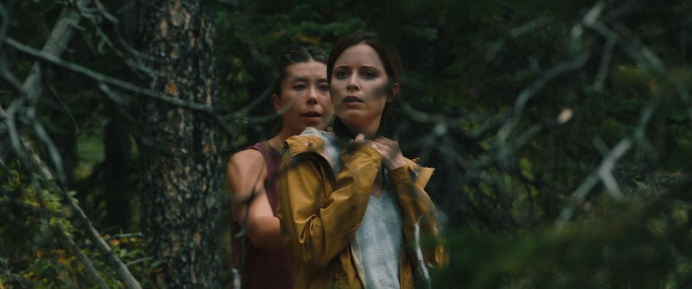 Dark Nature (2022) Movie Review from Eye for Film