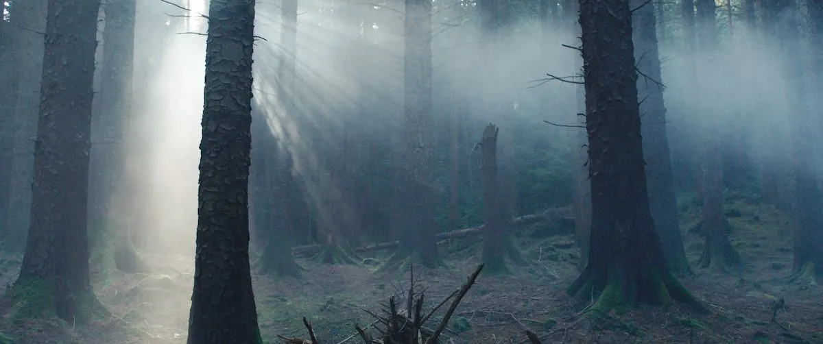 Lost Lives (2019) Movie Review from Eye for Film