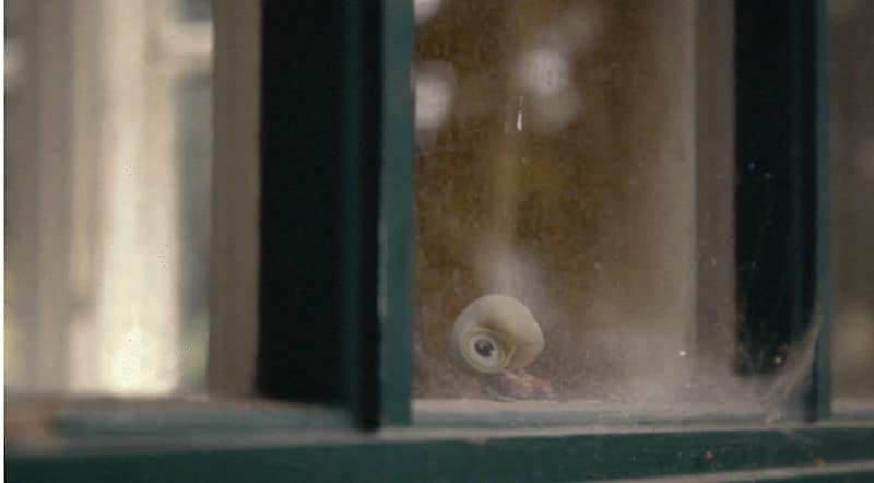 Marcel The Shell With Shoes On (2021) Movie Review from Eye for Film