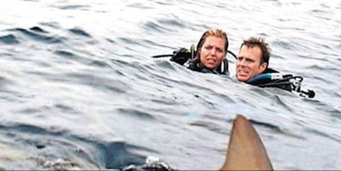 Open Water (2003) Movie Review from Eye for Film