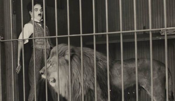 The Circus (1928) Movie Review from Eye for Film