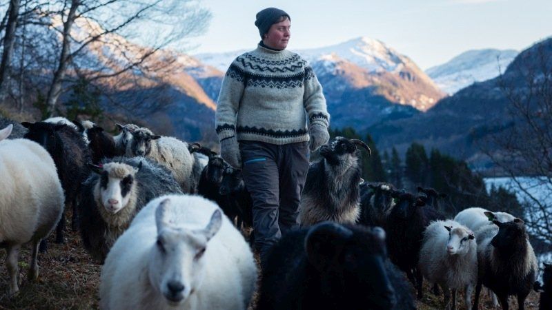 Woolly (2024) Movie Review from Eye for Film