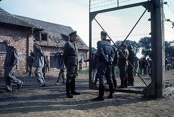 The Grey Zone (2001) Movie Review from Eye for Film